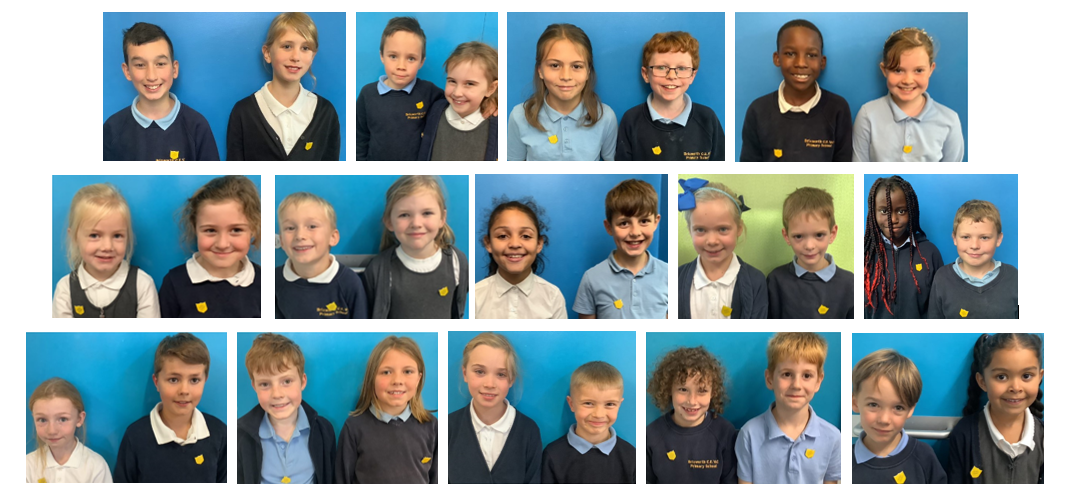 Brixworth CEVC Primary School - School Council
